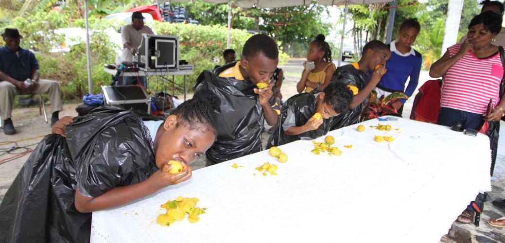 Organizers satisfied with Mango Array and Tropical Fruit Fest despite ...