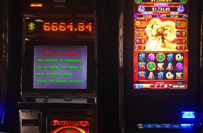 VIGL withdraws from horse racing agreement | News ...