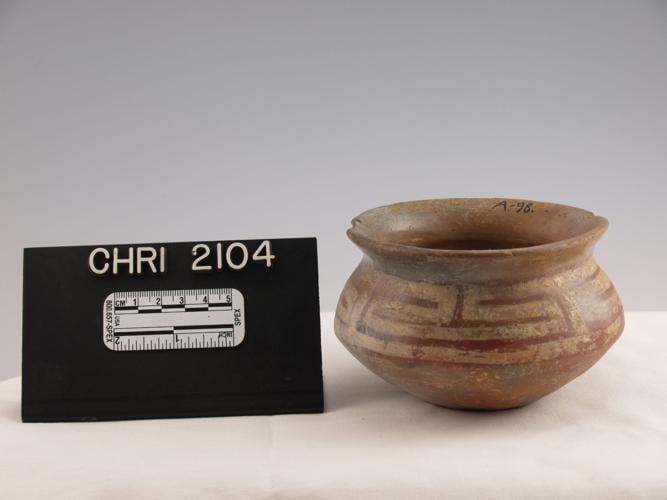 The plowed soil brings up plants and artifacts | News ...