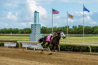 Racetrack expansion into mangroves poses danger to St. Thomas | Opinion ...