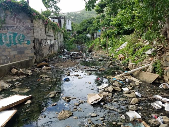 Public Works, Waste Management say they'll address Savan-area stench ...