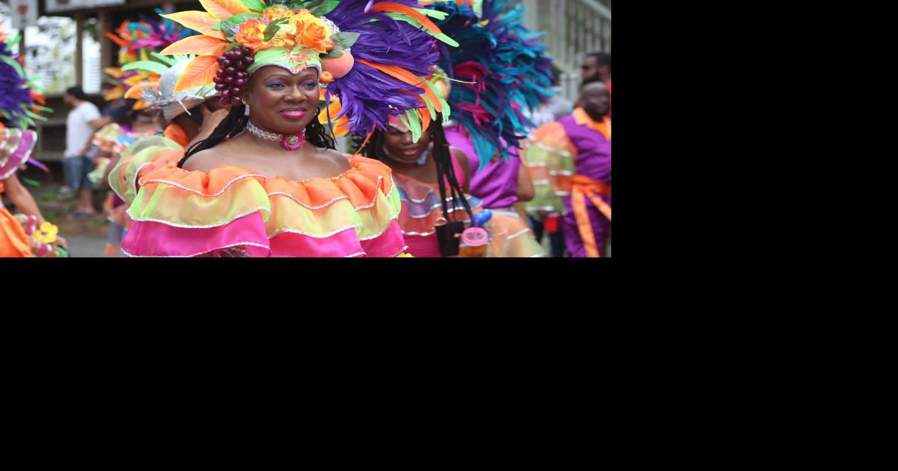 V.I. Carnival Committee readying for 2018 fete | News ...
