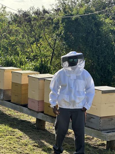 Beekeeper of the Year awarded to Stephen Charles | News ...