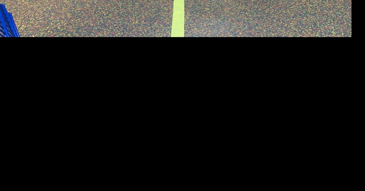 DLCA encourages social distancing shopping | News ...