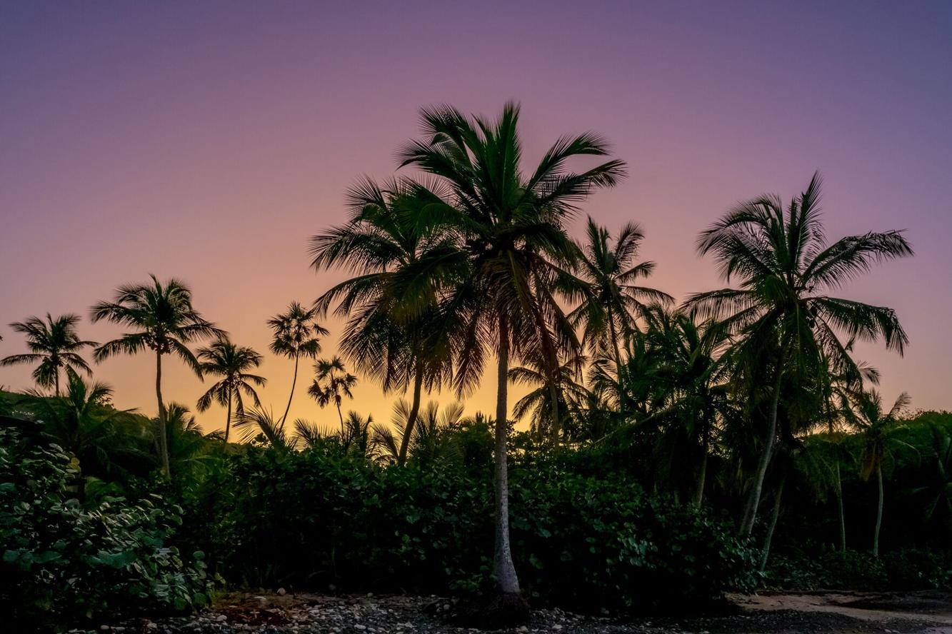 Sunset silhouette | News | virginislandsdailynews.com