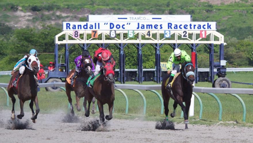 VIGL drops out of effort to rebuild St. Croix horse track, St. Thomas ...