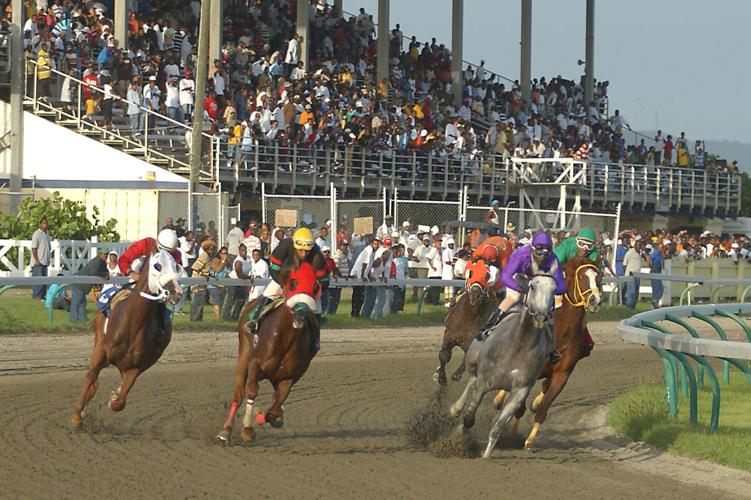 VIGL drops out of effort to rebuild St. Croix horse track, St. Thomas ...
