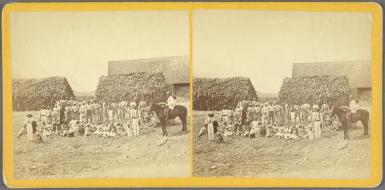 I dig through archives to unearth hidden stories from African-American ...