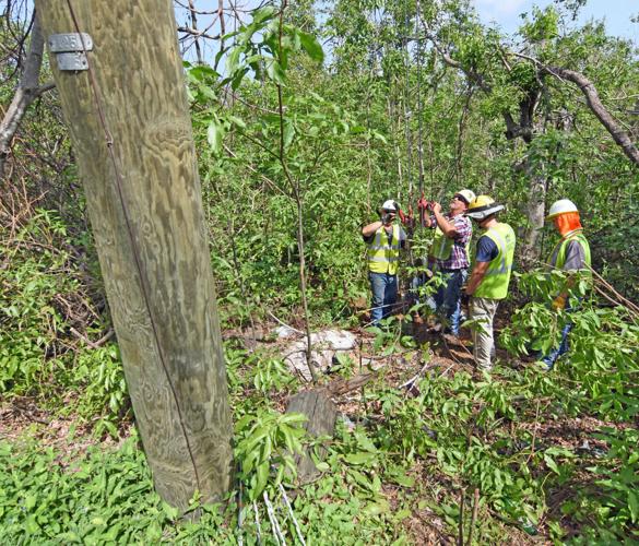 Another WAPA helping out the USVI | News | virginislandsdailynews.com