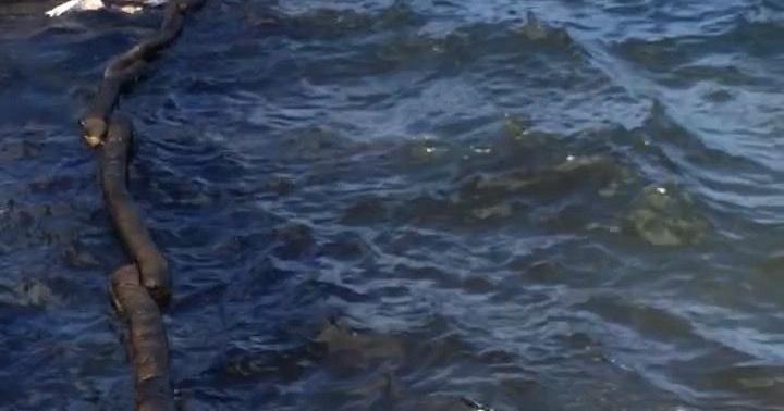 WAPA Spills Over 50 Gallons of Oil in STX | Local News ...