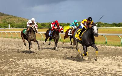 Bryan announces separated horse racing agreement with VIGL, Southland ...