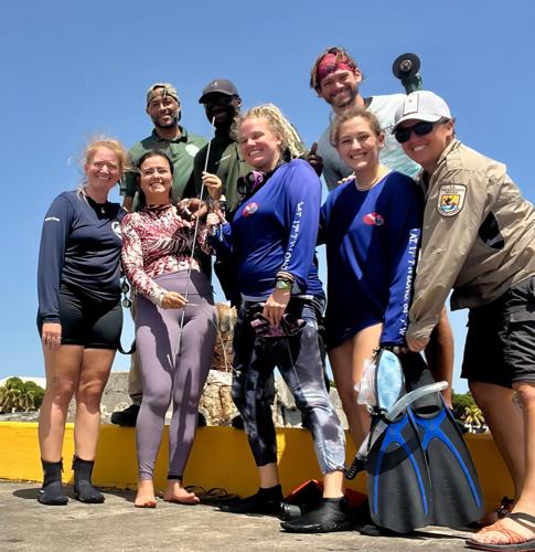 STAR helps green sea turtle found with fishing spear to the neck at F ...