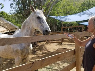 Board power struggle creates uncertainty for future of Golden Age Ranch ...