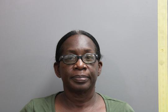 DHS employees among 11 facing charges in Medicaid fraud probe | News ...