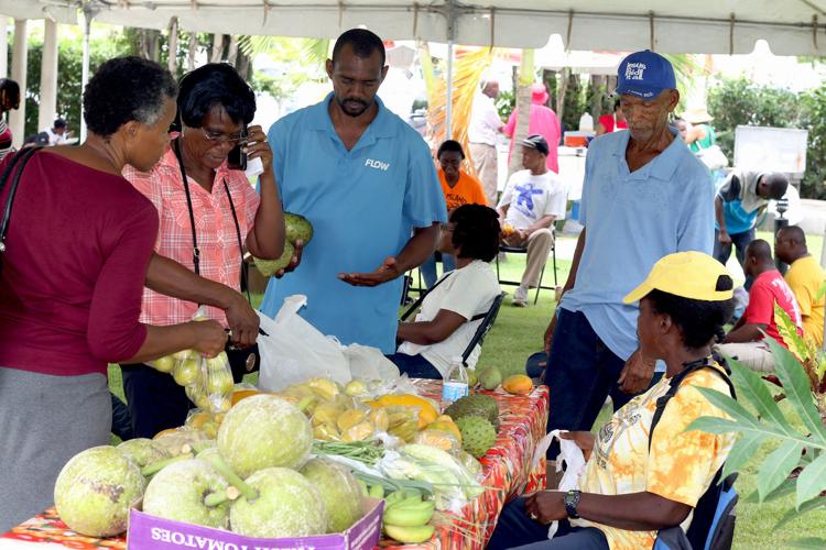Organizers satisfied with Mango Array and Tropical Fruit Fest despite ...