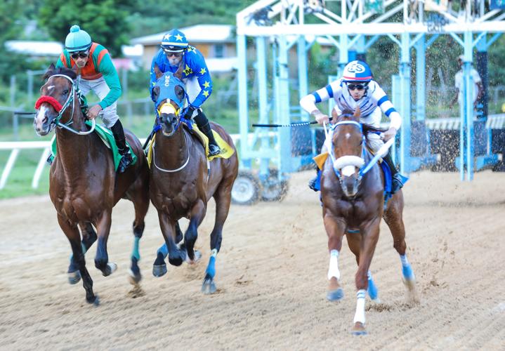 'Courage and Honor' wins Pre-Valentine’s Day feature at Ellis Thomas ...