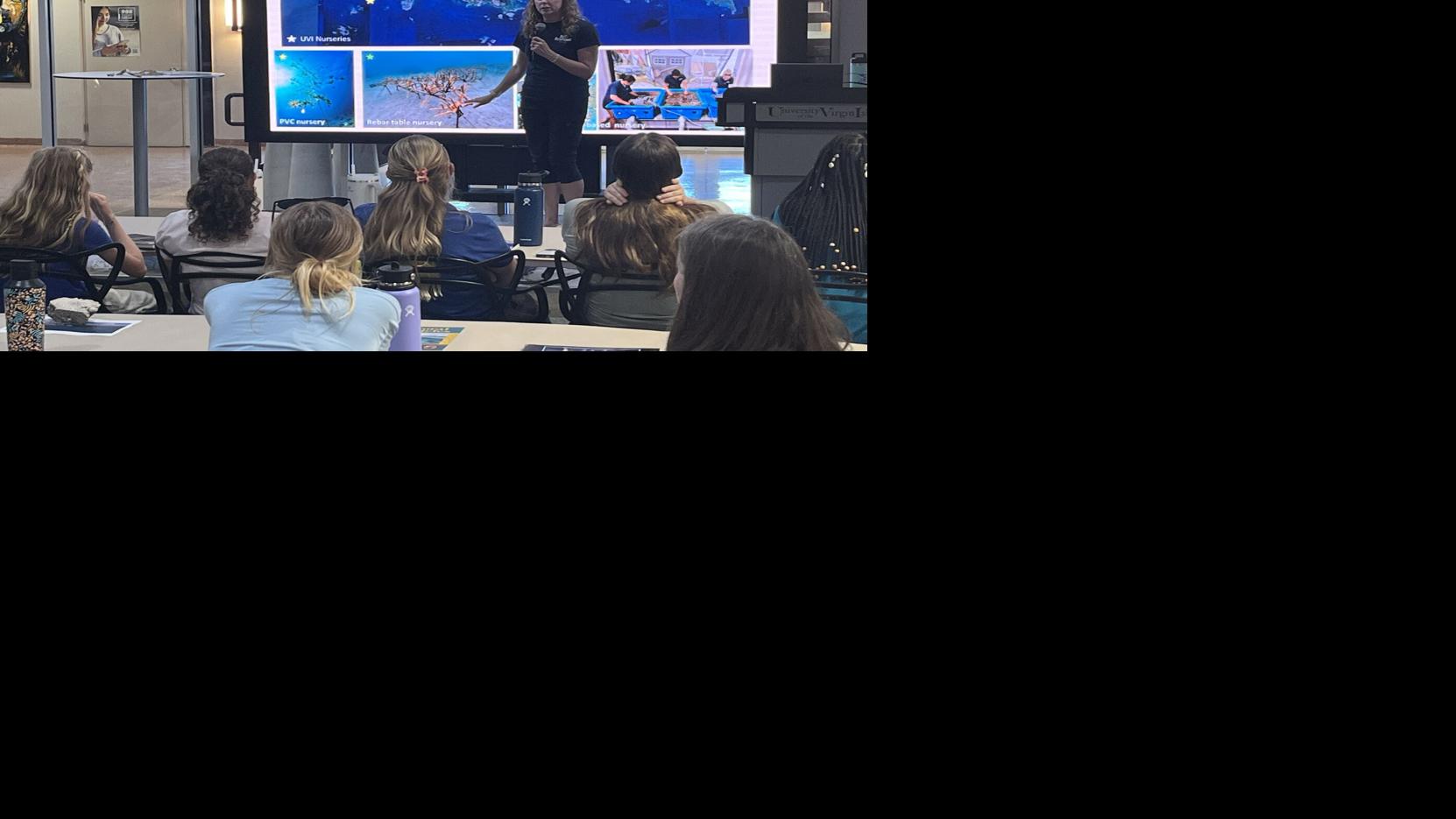 virginislandsdailynews.com | Celebrating the People, Cultures and ...