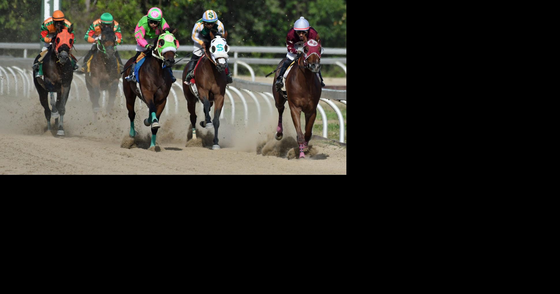 Settlement could pave way for St. Thomas horse racing | News ...