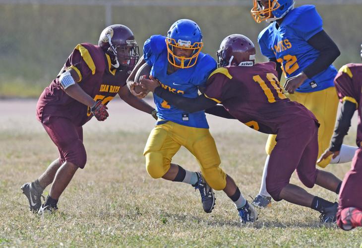 ISLAND CHAMPS: Hawks beat Devil Rays for 2nd time | Sports ...