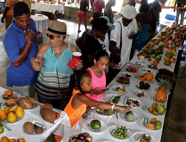 Looking back: Mango Melee | News | virginislandsdailynews.com