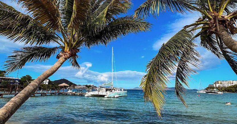 A perfect day in paradise | News | virginislandsdailynews.com