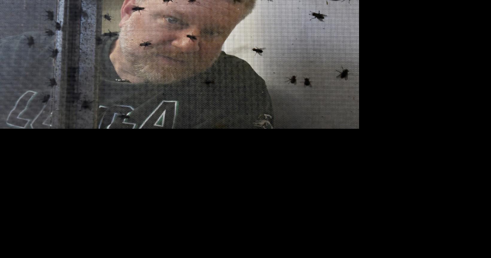 Professor is developing spray to identify fly spit at crime scenes ...