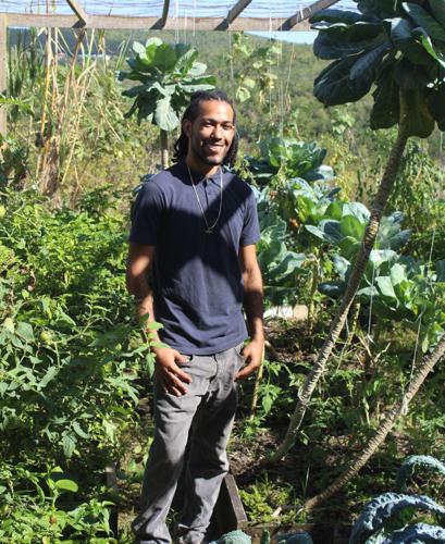 Sofer-Greer's community garden takes root on St. John | Island Life ...