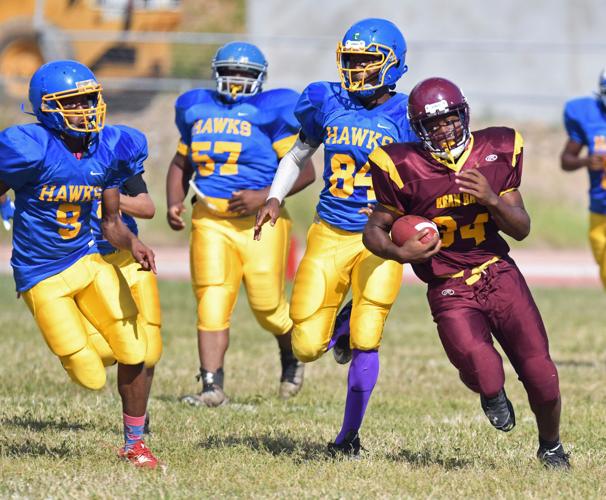 Hawks roll past Devil Rays in season opener | Sports ...