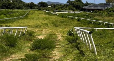 Thomas family breaks silence on shutdown of race track | Sports ...