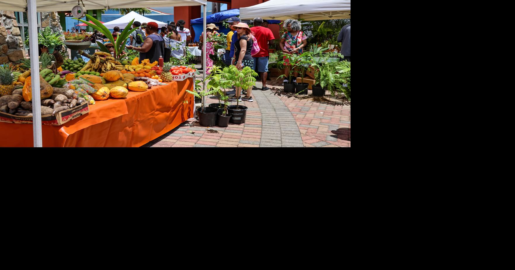 In photos: St. Thomas Food Fair | Multimedia | virginislandsdailynews.com