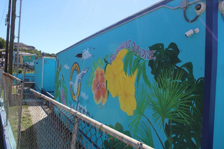 New mural brightens up Julius Sprauve School | News ...