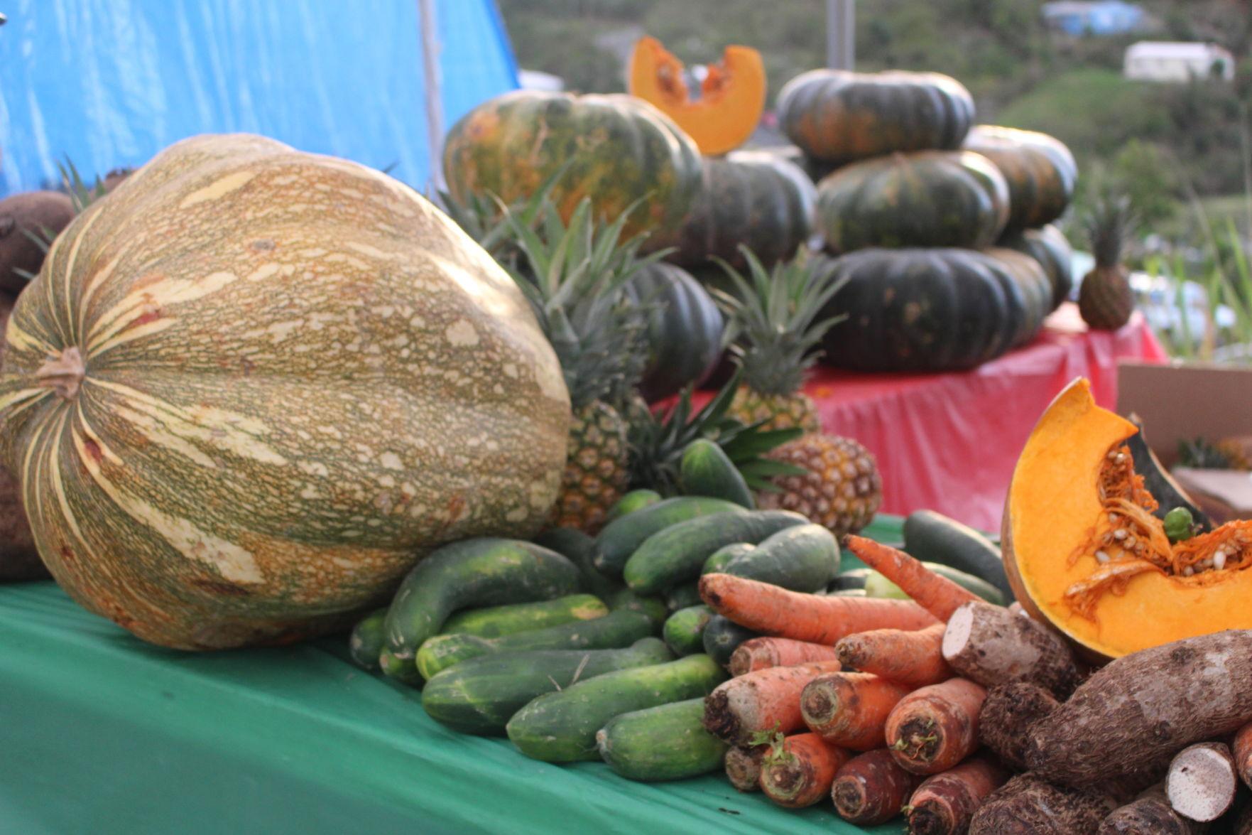 Page A1 | e-Edition | virginislandsdailynews.com