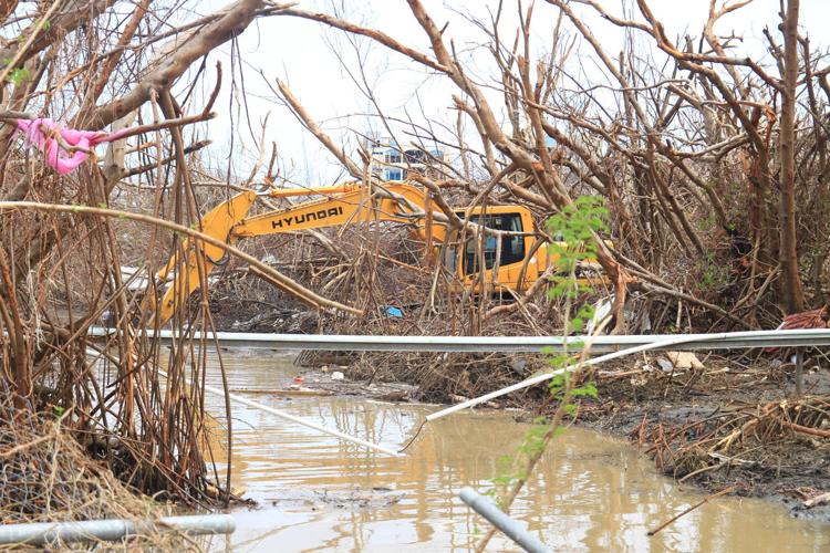 BVI governor orders guts cleared ahead of Maria ...