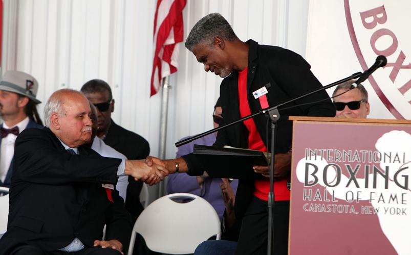 'The Hawk' is now in the Hall of Fame | Sports | virginislandsdailynews.com