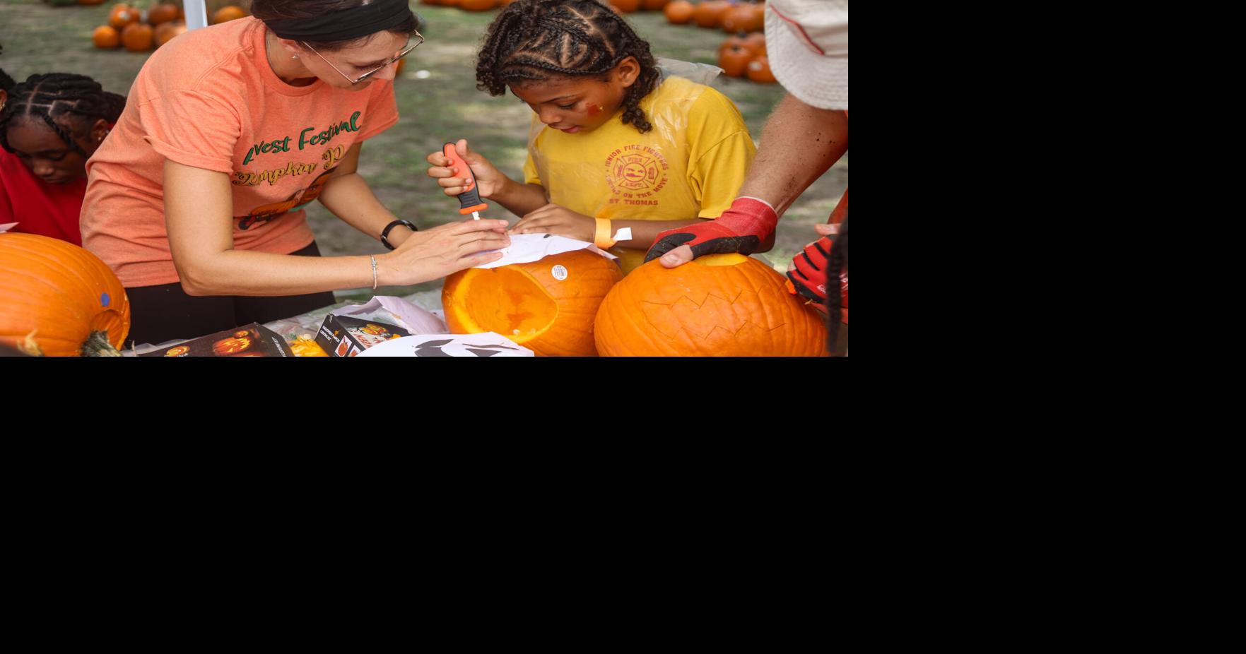 VI Justice Initiative hosts Harvest Festival at Magens Bay ...