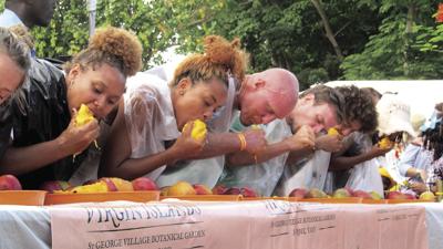 Mango Melee returns to Botanical Garden | 24/7 Island Action ...