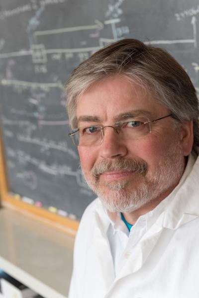 Colorado lab says it has fast, low-cost Zika test | News ...