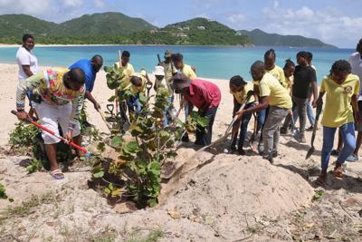 BVI’s beach restoration project honors legacy of 100 residents | News ...