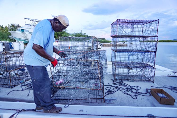 Clifton Thomas continues 40-year lobster trapping legacy | News ...