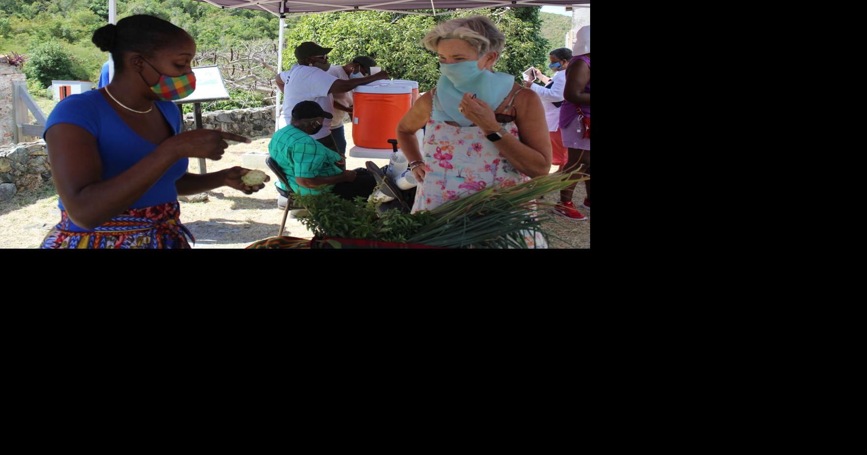 Festival celebrates Virgin Islands culture | News ...