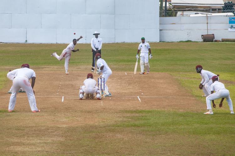 Cricket fans come out in droves for match | Sports ...