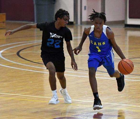 CAHS Chicken Hawks take two from V.I. Montessori | Sports ...