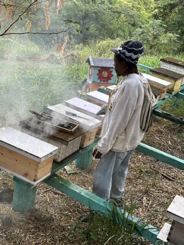 Roniel Allembert is first Bee Farmer of the Year | News ...