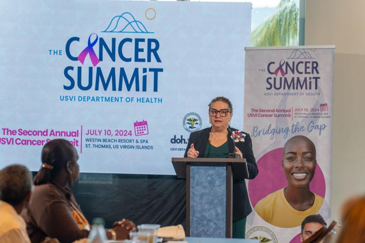 USVI summit brings together coalition against cancer | News ...