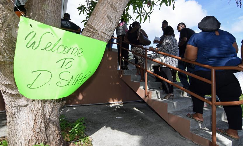 USVI D-SNAP program gets off the ground | News | virginislandsdailynews.com