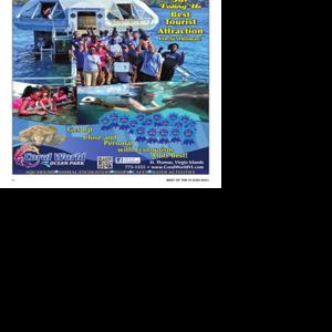 Page Z6 | Supplements | virginislandsdailynews.com