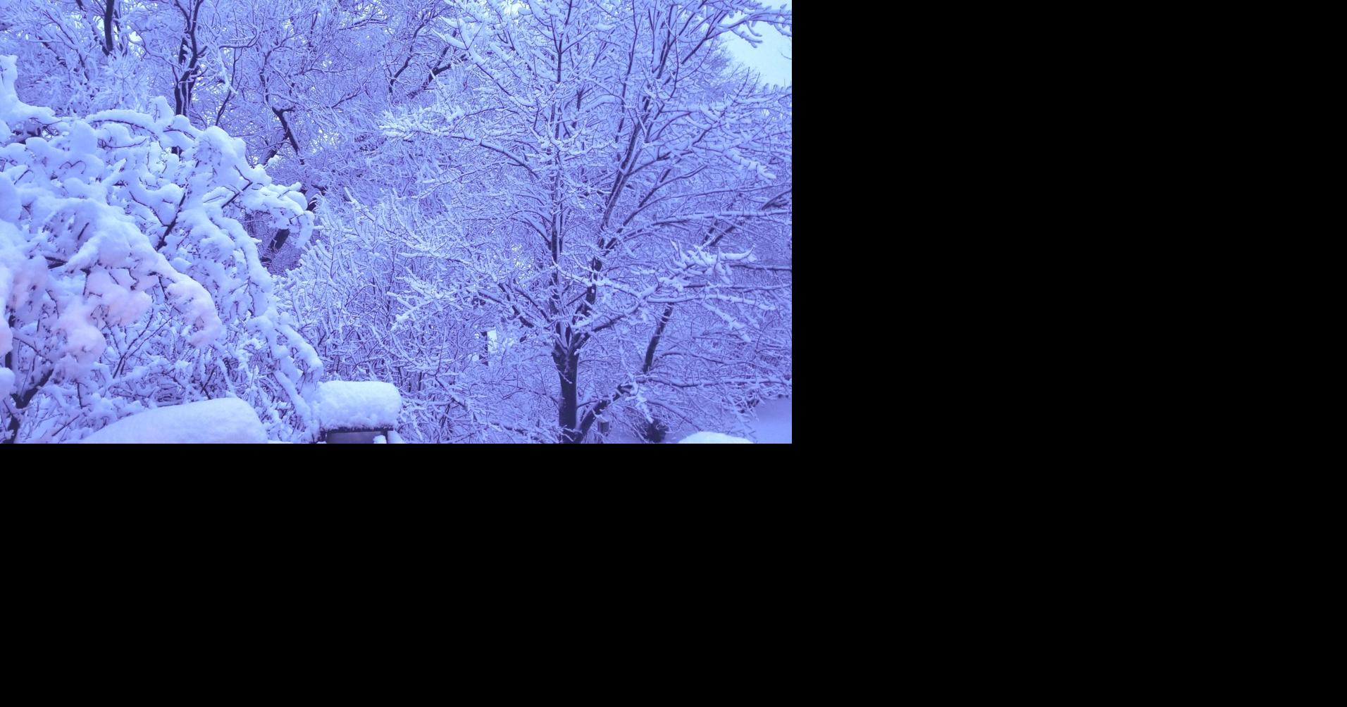 The Halloween 1991 blizzard dropped heavy snow across the state | Local ...