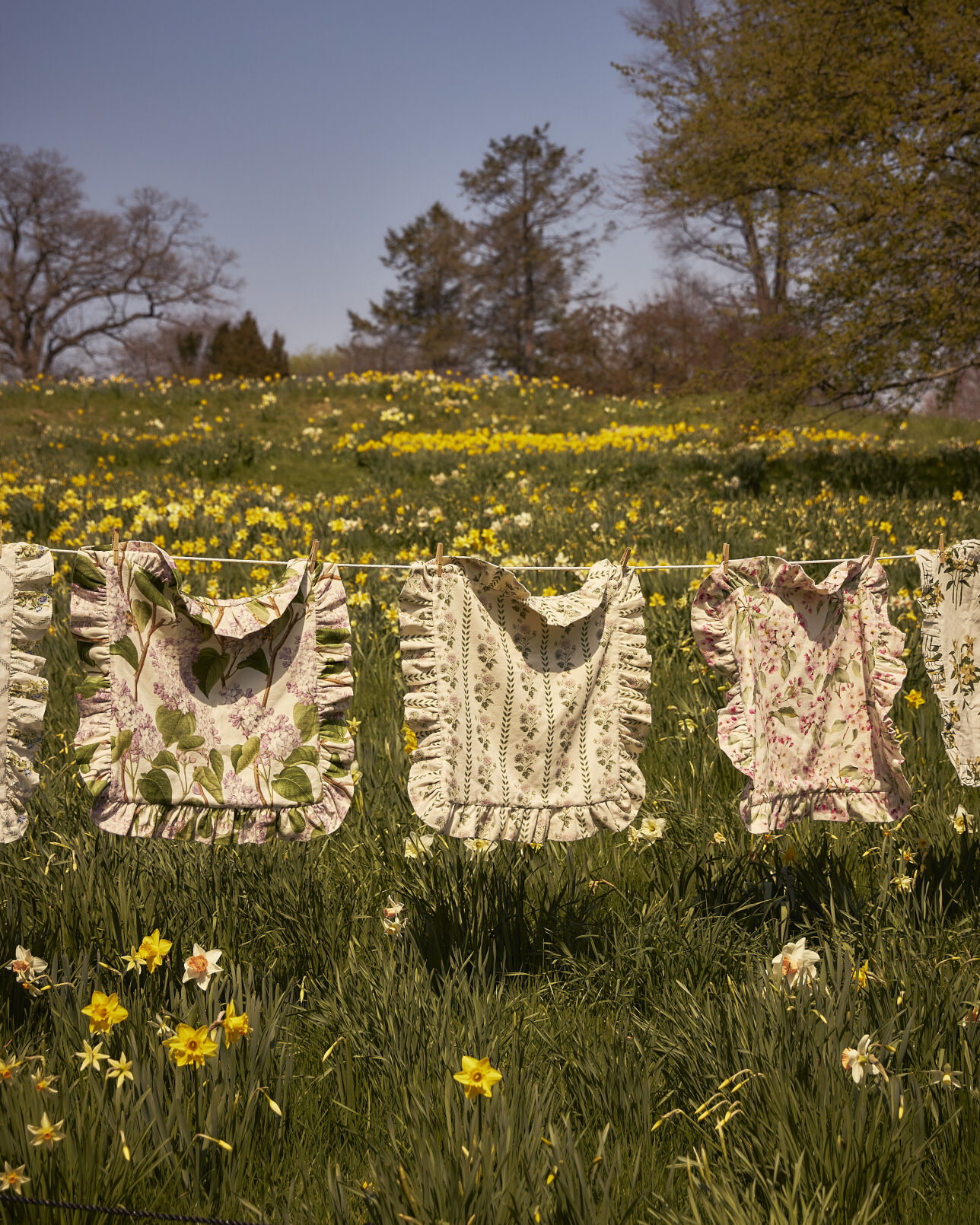 GreenRow Launches New Collaboration With New York Botanical Garden ...