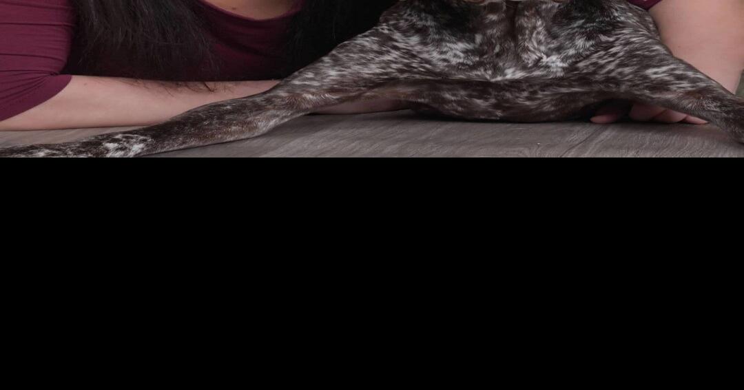 Lisa Sturm on how you can help out the Grant County Humane Society ...