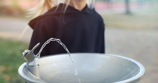 High levels of "forever chemicals" found in the water in Alexandria and ...